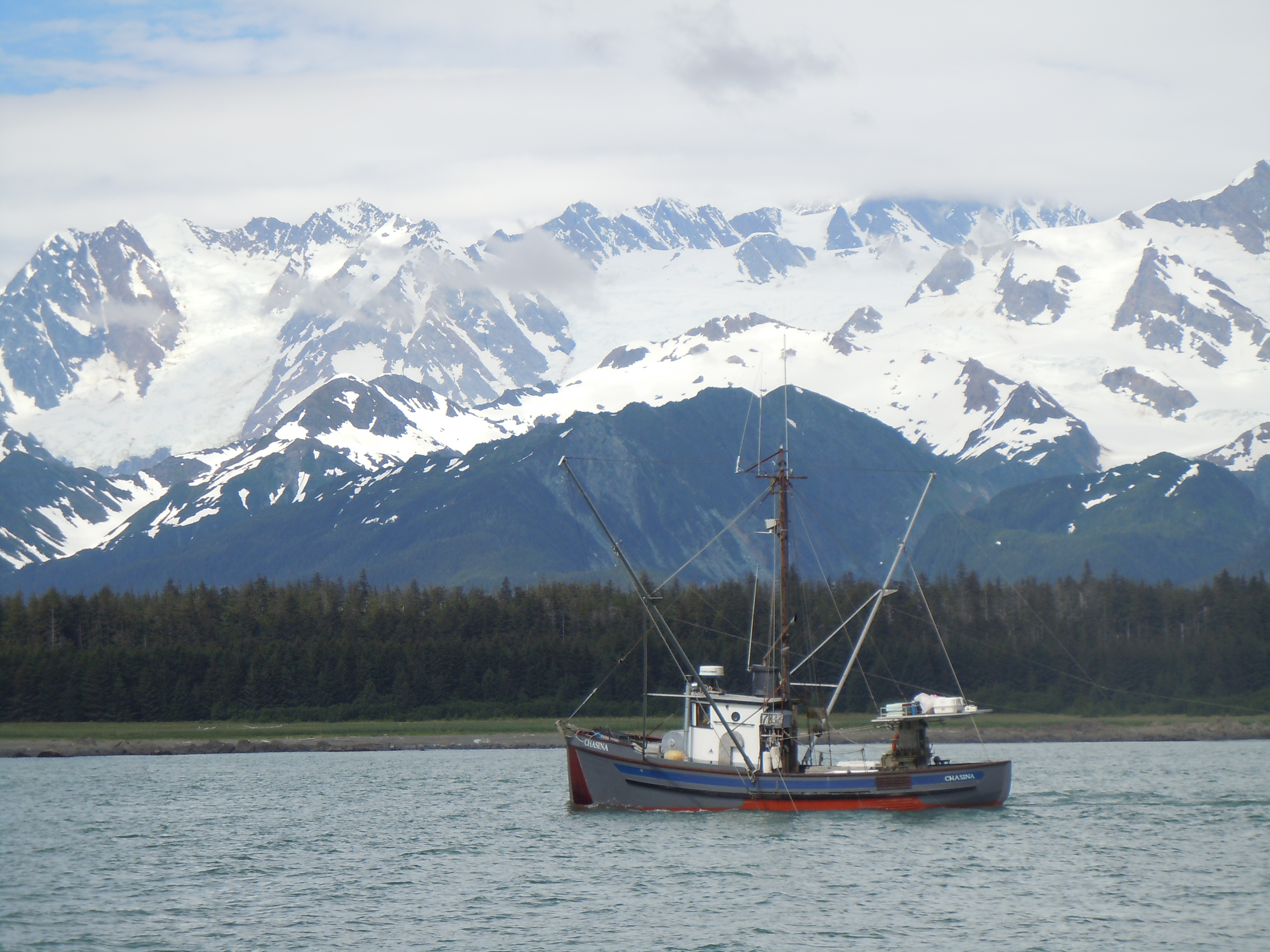 Trolling for Compliments | Roscoe Lilly