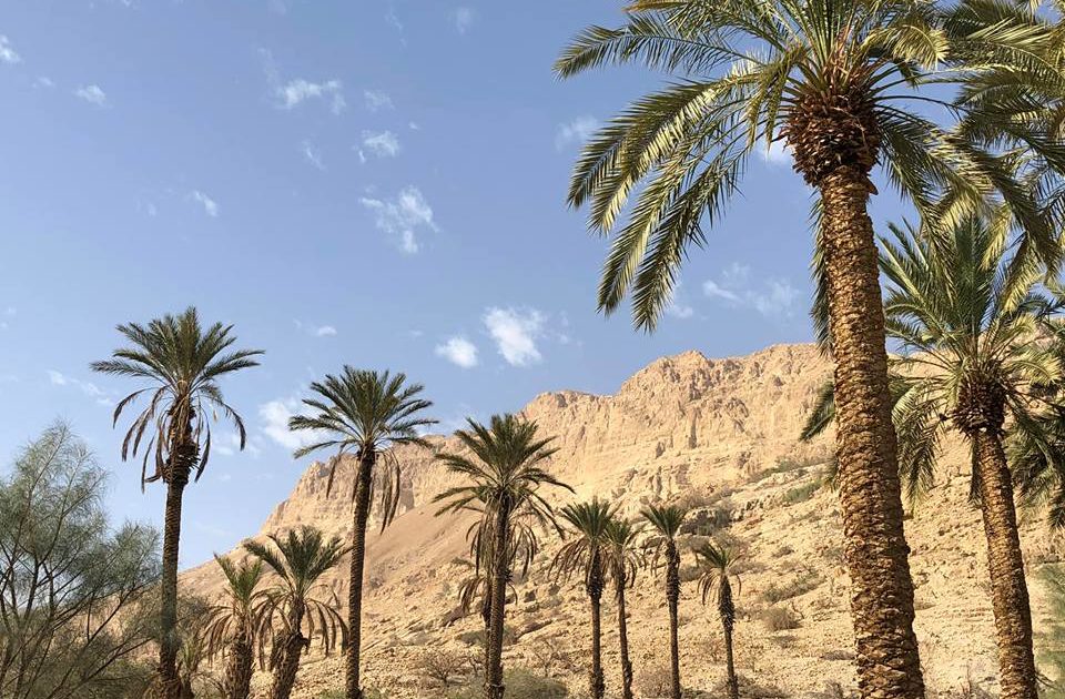 4 Things I Learned About Israel | Roscoe Lilly